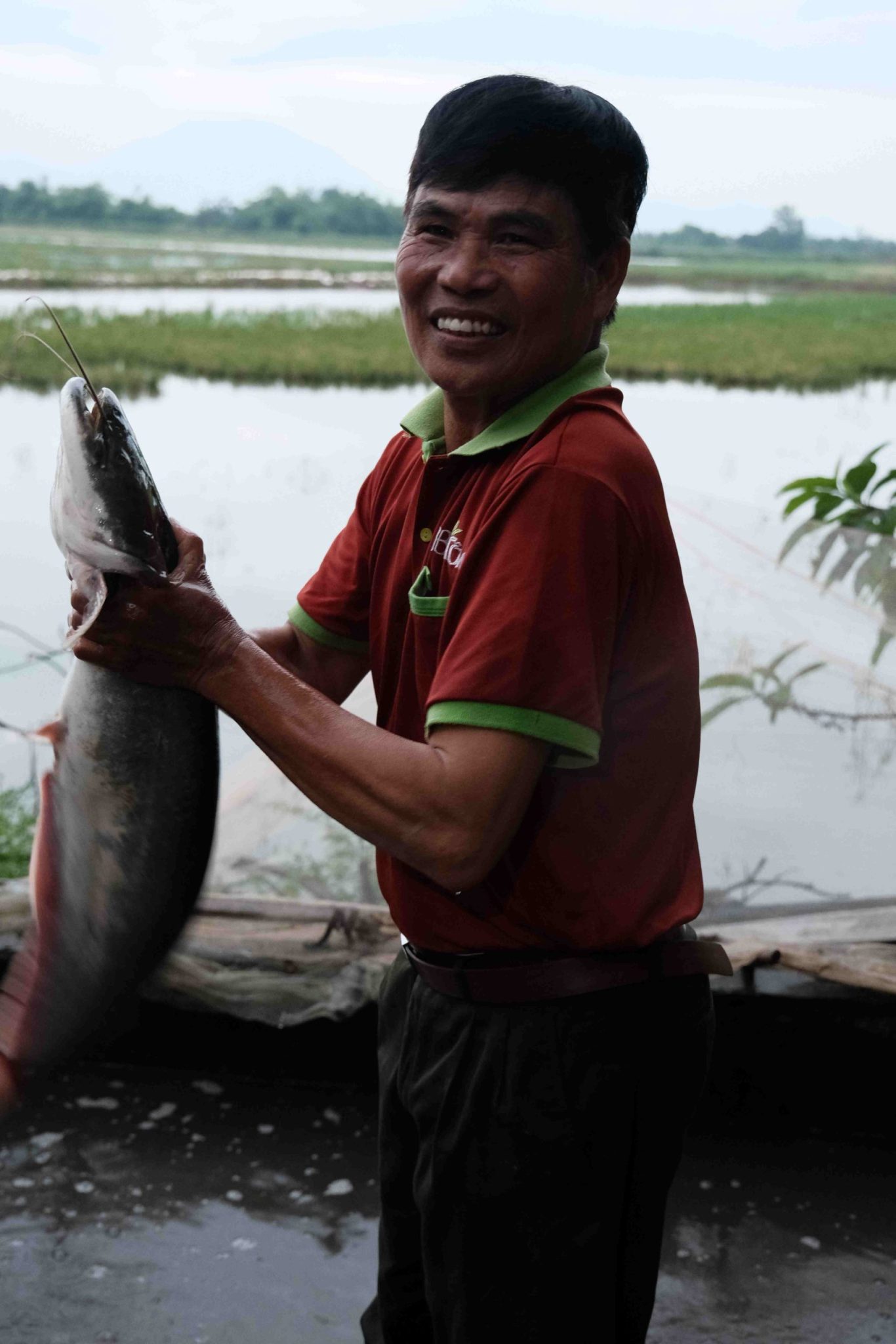 Cá đầm lúa Thanh Lãng - Bác Tôm & Farms